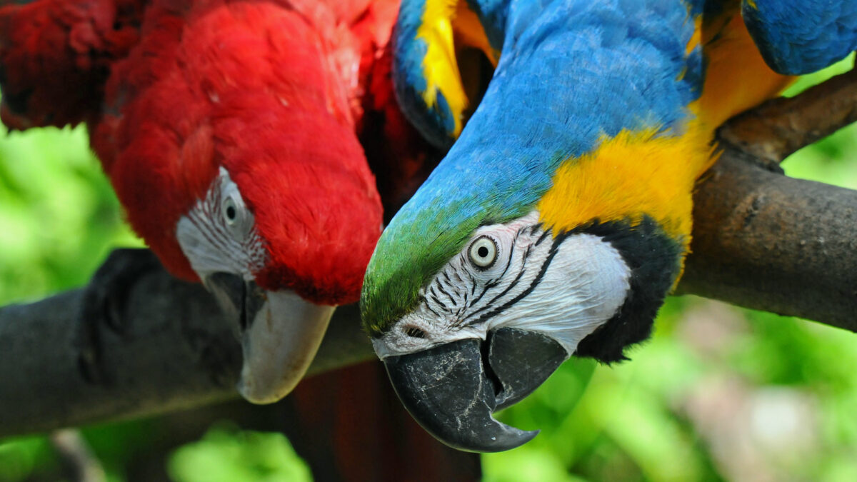 Fünf Tierparks in und um Leipzig - Urlaubszeit Sachsen