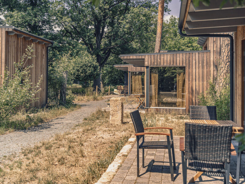 Fünf Tierparks in und um Dresden - Urlaubszeit Sachsen