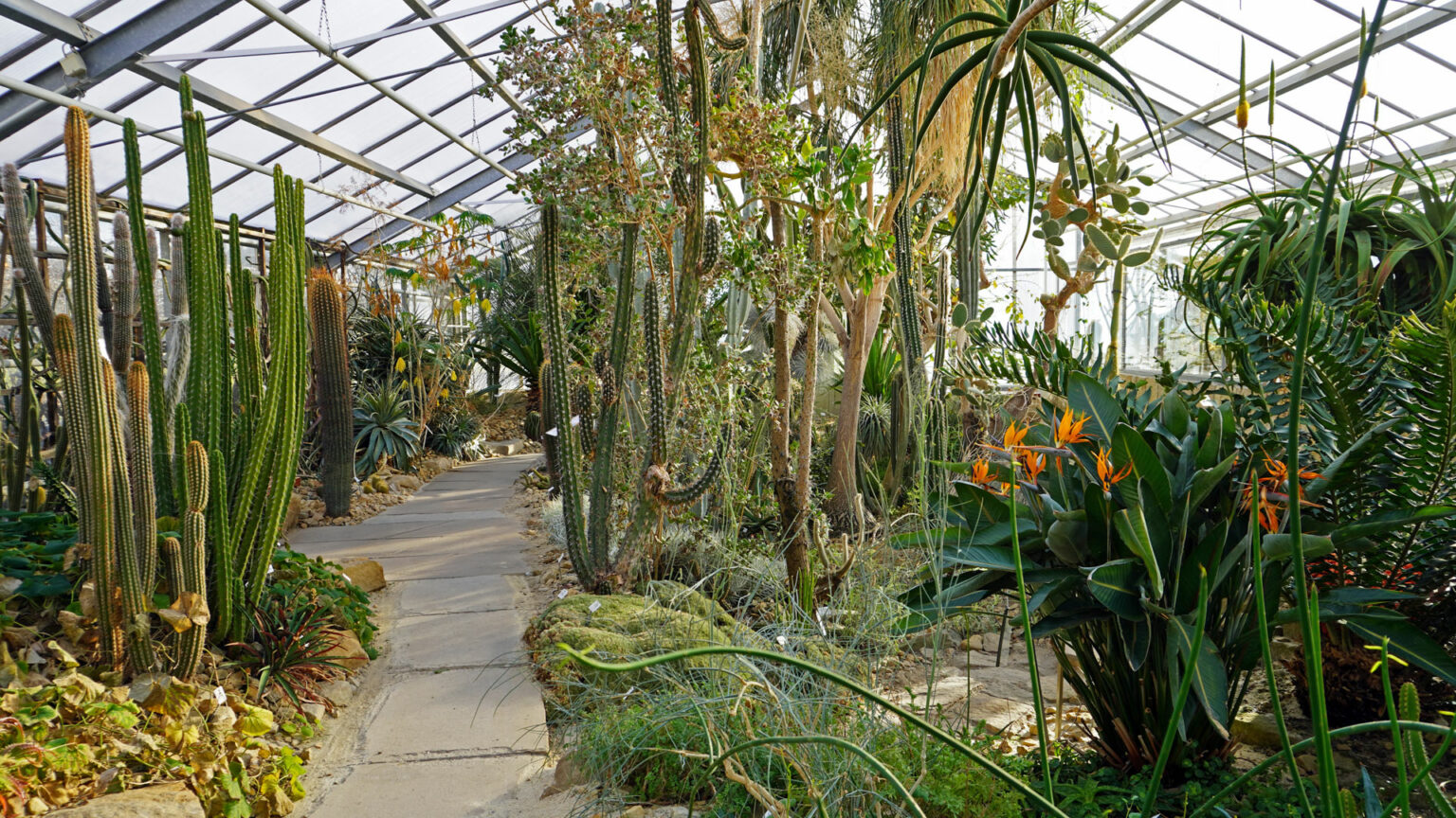 Spannende Ziele für Pflanzenfans: Fünf sehenswerte botanische Gärten ...